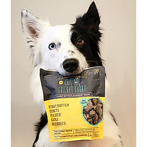 Jiminy's Original Cricket Cookie Dog Treat Bundle, Peanut Butter & Pumpkin (5oz) & Peanut Butter & Blueberry (5oz)