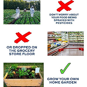 Genovese Basil Seeds for Planting - Heirloom Non-GMO USA Grown - 150+ Seeds - Premium Sweet Basil Seeds for Indoors or Outdoors by RDR Seeds