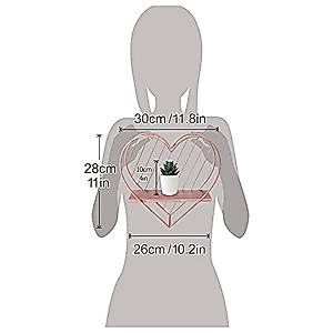 JJYGYTG Shelf Wall Shelf Rose Gold Decorative Shelf Metal Heart-Shaped Shelf Living Room Bathroom (Color : Black)