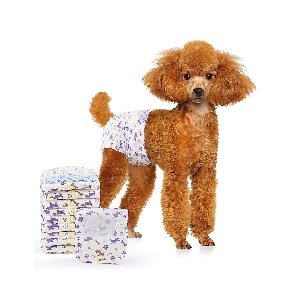 MICOOYO Disposable Dog Diapers Female, Doggie Diapers for Dogs Female, Super Absorbent Pet Diapers Foam Tail Hole Female Dog Diapers for Heat, Comfortable Puppy Diapers (Small Plus, 50Count)