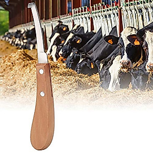 Vensans Straight Blade Shape Carbon Steel Hoof Knife, Trimming Tool for Cattle Horse Use(Right Hand)