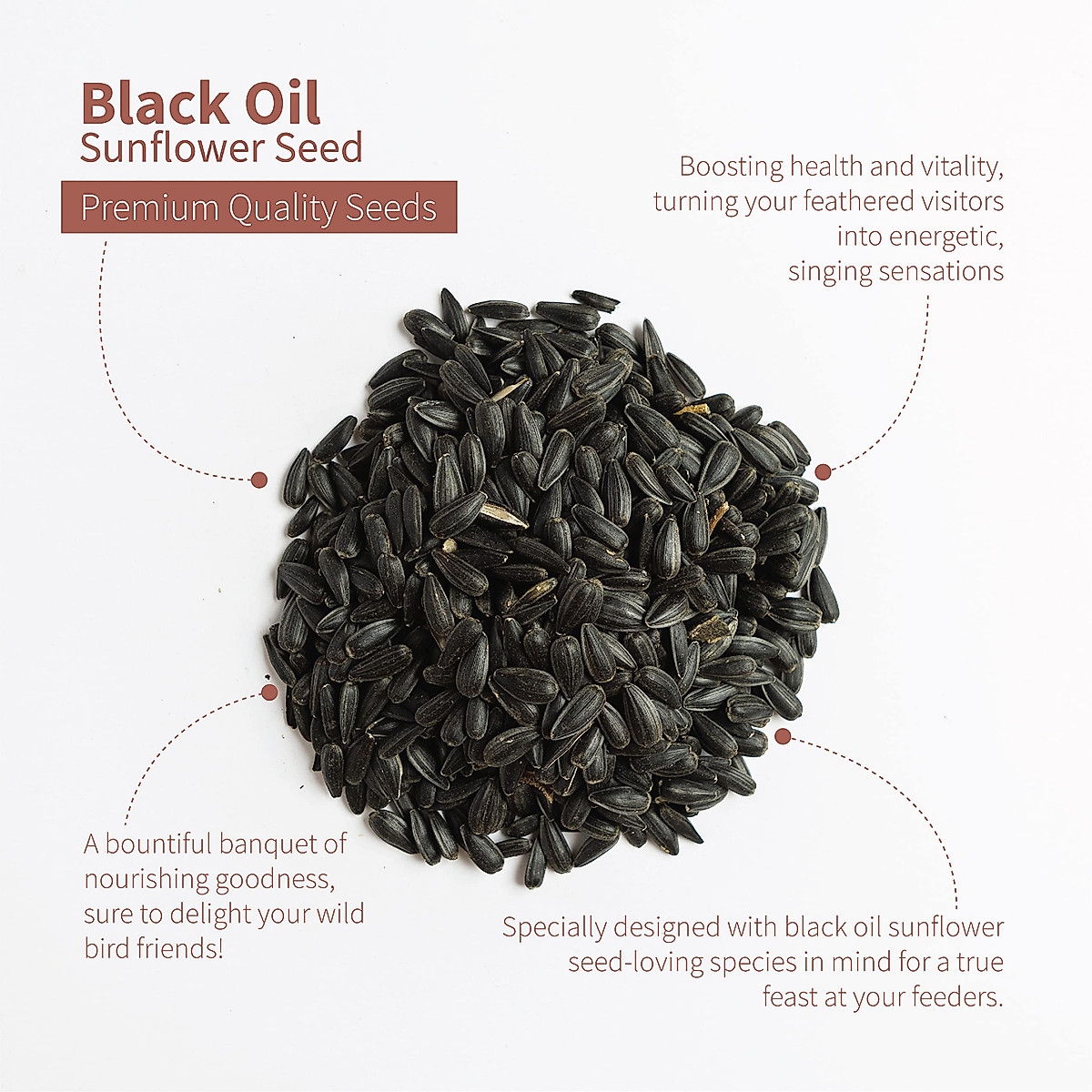 Schoen Farms Black Oil Sunflower Seeds for Birds (6 LBS)