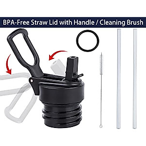 QISSZION Kids Insulated Bottle with Handle & Straw 12oz, Vacuum Stainless Steel Water Bottles Leakproof for School, BPA Free Flask Metal Thermos for Boys & Girls - Flamingo