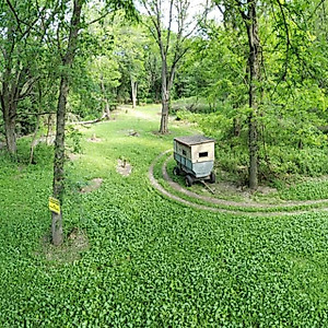 Backwoods Premium Wildlife Products Shady Patch - Premium Food Plot Seed Mix - 5 Pound Bag