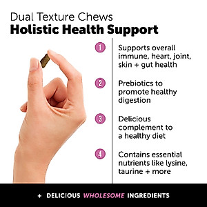 PetHonesty Cat Multivitamins + Cat Immune Support Lysine Dual Texture Chew Supplement Bundle - Supports Overall Immune Health, Joints, Skin & Coat, and Cat Allergy Relief - Sneezing, Runny Nose