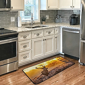 susiyo Red Deer in Morning Sun Kitchen Rug Floor Mat Non-Slip Anti Fatigue Memory Foam Comfort Standing Mats for Entryway Hallway Bathroom Welcome Doormat 39x20inch