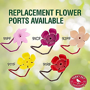 Perky-Pet 9111-1SR Cactus Top Fill Glass Hummingbird Feeder with Built-in Bee Guards & Removable Perches - 32 oz Outdoor Garden Décor Hummingbird Feeder