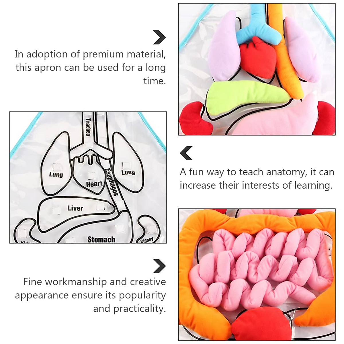 Mikikit 3D Organ Apron Organ Apron: 1 Set Versatile Apron Kindergarten Teaching Anatomy Apron Human Body Organs Awareness Educational Toy Human Internal Organs Teaching Equipment