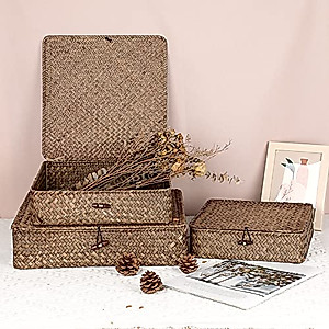 Hipiwe Flat Wicker Basket Bins with Lid - Set of 3 Handwoven Seagrass Storage Basket Shelf Baskets Boxes Multipurpose Home Organizer Bins Boxes for Shelf Pantry Closet,Large Size 14.8"x13"
