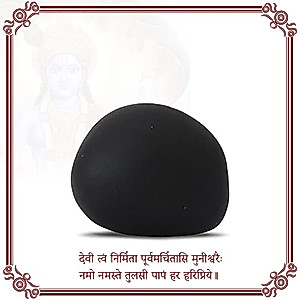 Vedic Vaani Natural Black Stone Tulsi Vivah Vishnu Shaligram Shila for Puja (Pack of 5)