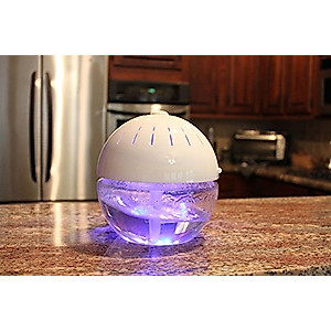 EcoGecko Earth Globe- Glowing Water Air Washer and Revitalizer with Lavender Oil, White (75606-White)