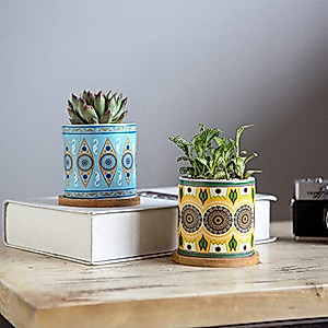 COLOAPT Succulent Plant Pots - 3.1 inch Ceramic Succulent Planter -Cylinder Flower Pots for Cactus with Drainage Hole and Bamboo Tray, 6 Pack (Multicolor1)