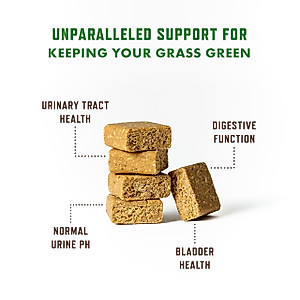 Rocco & Roxie Dog Urine Neutralizer for Lawn, Green Grass Savers for Dog Urine Pee Spots, UTI Health & Bladder Control Supplement with D-Mannose, Apple Cider Vinegar & DL-Methionine, 90ct Soft Chews