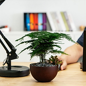 Naturoom Handmade Wooden Cereal Bowls, Set of 2, Zen Style Rice & Miso Soup Bowls, Small Salad bowl, Perfect For Snack, Nuts, Candy, Fruit and noddle, 5'' Diam x 3'' High Craft Decorative Bowl