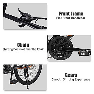 26'' Mountain Bike, 21 Speed Outdoor Snow Beach Bike, Full Suspension Adult Hybrid MTB Racing Bikes for Women Men, Comfort Complete Cruiser Bicycle, Lightweight City Commuter Road Cycling (N)