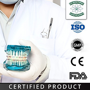 Scientific Labwares Lab Micro Double Ended Spatula Round/Tapered Arrow End, Flat Ends 50 mm X 9 mm, 7" Length, Stainless Steel