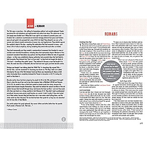 Jesus-Centered Bible NLT, Cranberry