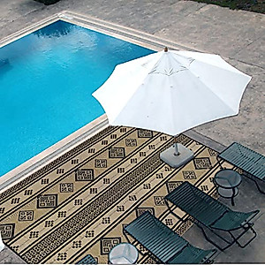 HiiARug Indoor Outdoor Rug Reversible Mats Plastic Straw Rug Patio Decor Rugs Waterproof Large Floor Mat and Rug for Patio, Deck, Picnic, Backyard, Beach, RV, Trailer, Camping (6'x9' Black)