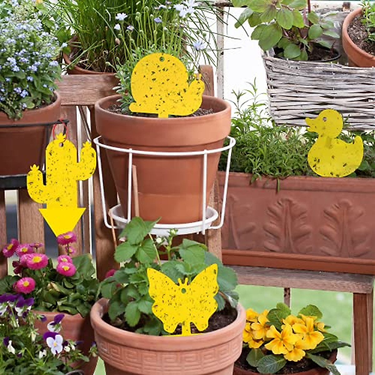 Gideal 12-Pack Dual-Sided Yellow Sticky Traps for Indoor/Outdoor Use, Gnat Trap for Flying Plant Insect Such as Fungus Gnats, Whiteflies, Aphids, Fruit Fly, Leafminers, etc - Cute Shapes