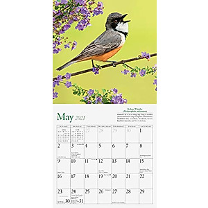 Audubon Songbirds Mini Wall Calendar 2021