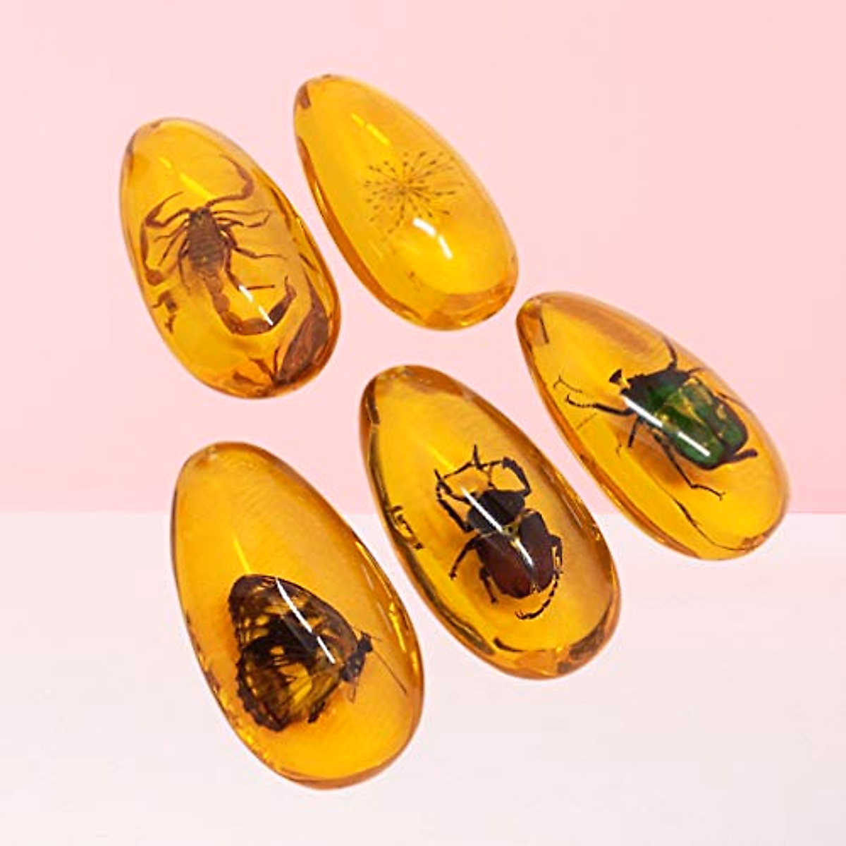 Garneck Crystal Amber Fossil with Insects, Inside Specimens Samples Stones Oval Pendant Collection Home Decorations Education Gift (Random Pattern)