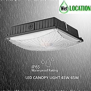 1000LED LED Canopy Light 45W, Ceiling Fixtures 5300LM, Daylight 5000K, 175W HID/HPS Replacement, Waterproof IP65, 10" x 10" Square Ceiling Lights