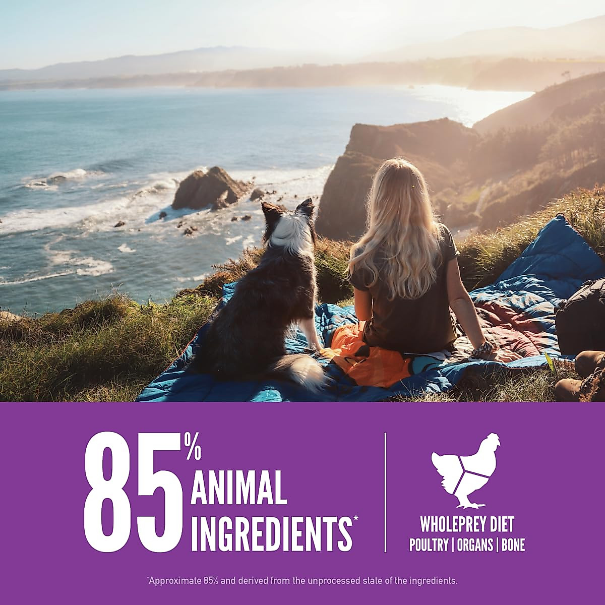 ORIJEN Dog Puppy Recipe, 25lb, High-Protein Grain-Free Dry Puppy Food, Packaging May Vary