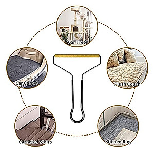 Remove Dogs & Cats Hair from Your Furniture - Rugs; Carpet; Cat Towers;