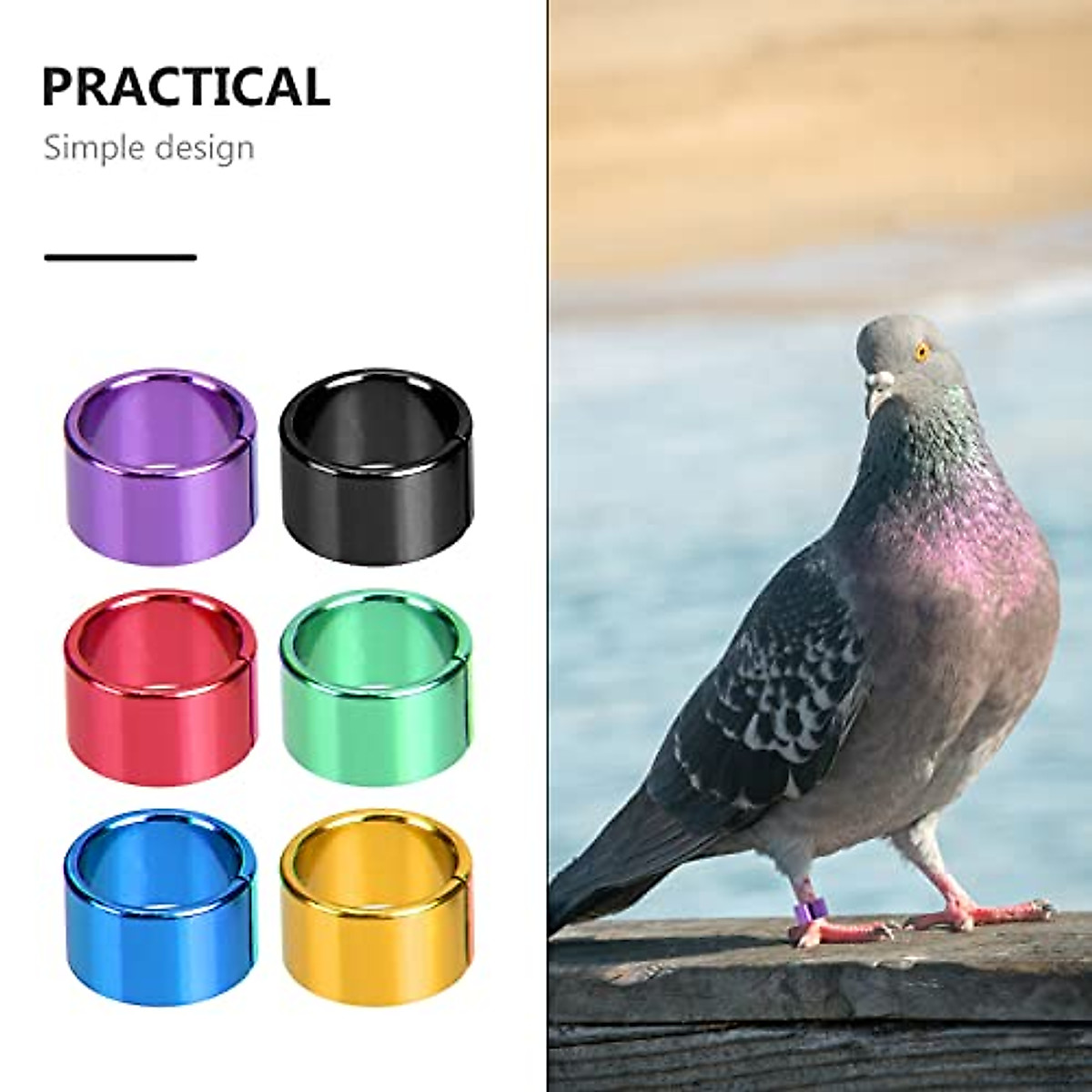 HANABASS 18pcs Aluminium Pigeon Leg Rings Dove Leg Rings Identify Bands Training Identify Birds Foot Ring for Pigeons Lovebird Coturnix Quail Chicken Goose Gamefowl Turkey Multicolor