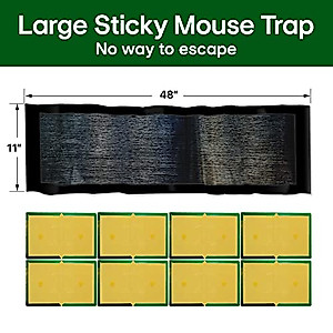 ELEGENZO Sticky Mouse Trap Mouse Traps Indoor for Home Rat Traps That Work for Trapping Snakes Rats Spiders Roaches & Other Rodents，3 transparent