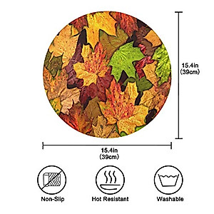 Autumn Leaves Round Placemats Set of 4 Table Placemats Fall Maple Leaf Sunflower Pumpkin Place Mats Tablemats 15 inch for Kitchen Dining Table Dinner Kids Holiday Party