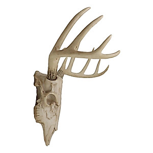 Ebros Gift Rustic Hunter Deer 10 Point Buck Skull Trophy Antlers Wall Mounted Plaque Trophy Decor Figurine 14.25" Long Hunter's Antler Rack Theme Deers Bucks Hunting Skulls Trophies Hanging Sculptures