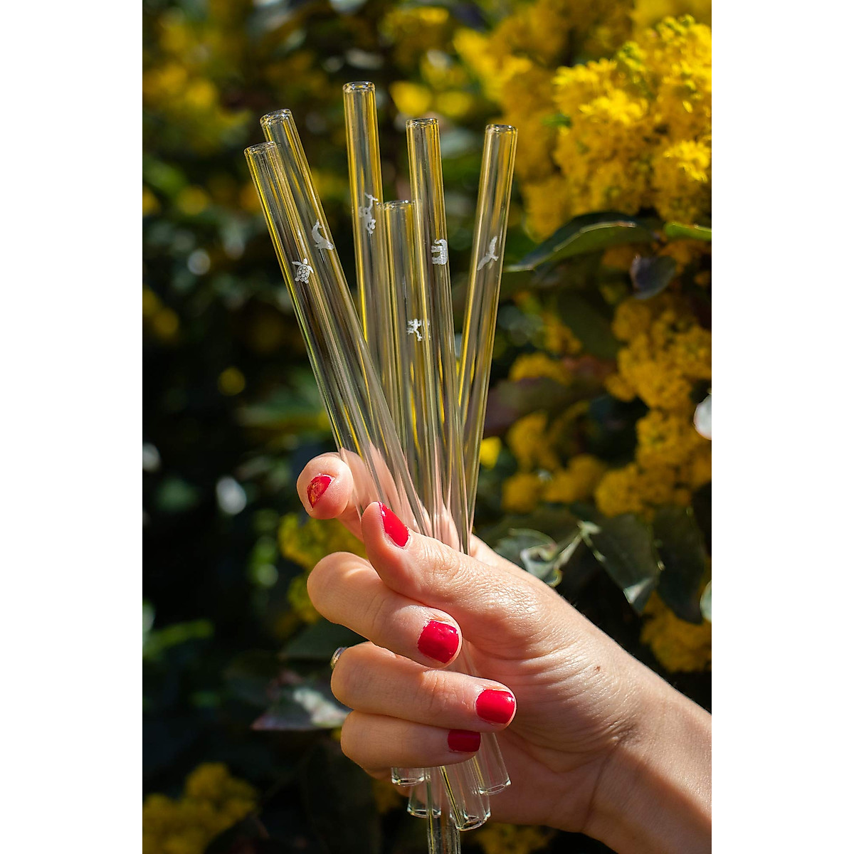 HALM Glass Straws - Earth Day Charity Edition - 6 Reusable Drinking Straws engraved with Endangered Animals - 20 cm (8 in) x 0.9 cm - Made in Germany - Dishwasher Safe - Eco-Friendly