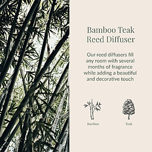 Archipelago Botanicals Mango Tangerine Reed Diffuser, Home Fragrance Reed Diffuser, Includes Fragrance Oil, Decorative Wooden Cap & 10 Diffuser Reeds, Perfect for Home, Office or Gift, 7.85 fl oz