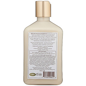 Rahua Classic Hair Conditioner, 9.3 Fl Oz, Moisturizing Organic Conditioner, Natural, Plant Based Derived Ingredients, Palo Santo, For Dry Damaged Hair, Hair Care for Soft & Shiny Hair, Scalp Care