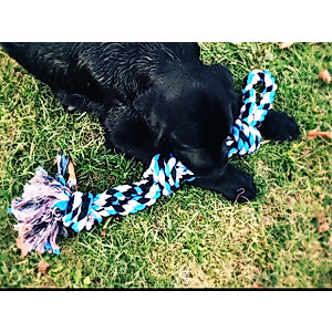 Mary & Kate Pets XL Dog Rope Toy for Aggressive Chewers - Original Extra Sturdy - Large Dogs and Teething Puppies - Heavy Duty - Dental Floss - Classic Tug - Nearly Indestructible (Extra Large, Blue)