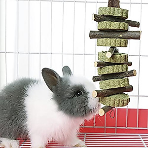 Bunny Chew Toys for Teeth,3Pieces Natural Fruit Twigs Handmade Timothy Hay Grass Cakes for Guinea Pigs Hamsters Dwarf Rabbits Chinchillas Gerbils Improves Dental Health