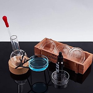 OLYCRAFT 6PCS Glass Petri Dishes High Borosilicate Glass Bacterial Culture Dishes with Lid 60mm Dia x 18mm Deep with 2pcs Glass Culture Plate for Laboratory School Science Project