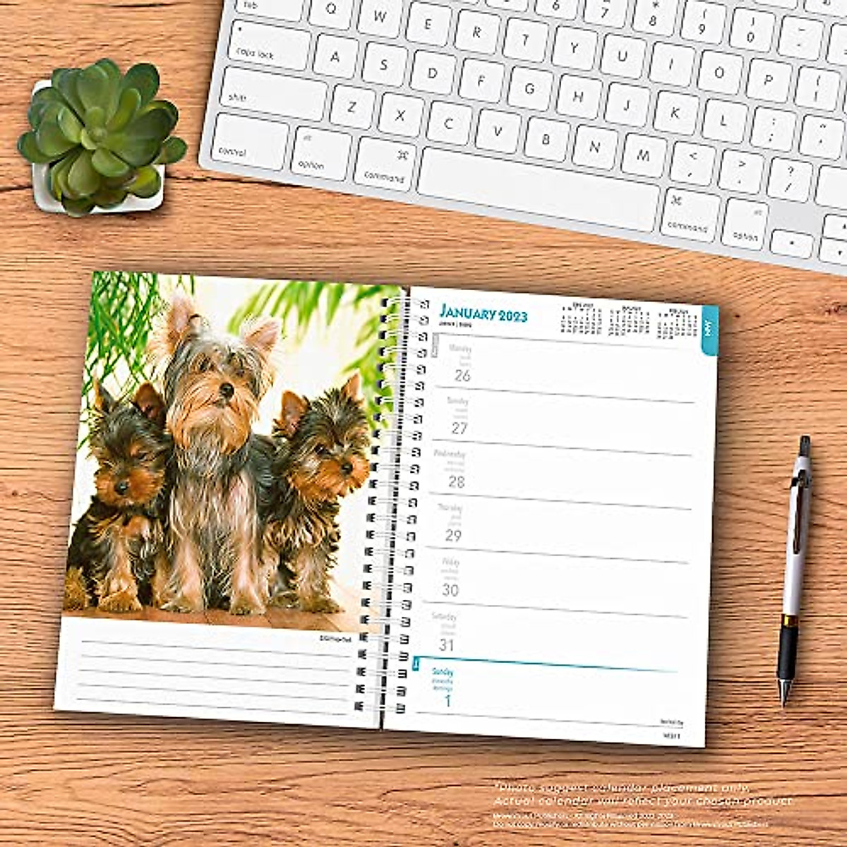 Yorkshire Terriers | 2023 6 x 7.75 Inch Spiral-Bound Wire-O Weekly Engagement Planner Calendar | New Full-Color Image Every Week | BrownTrout | Yorkies Dog Breeds DogDays