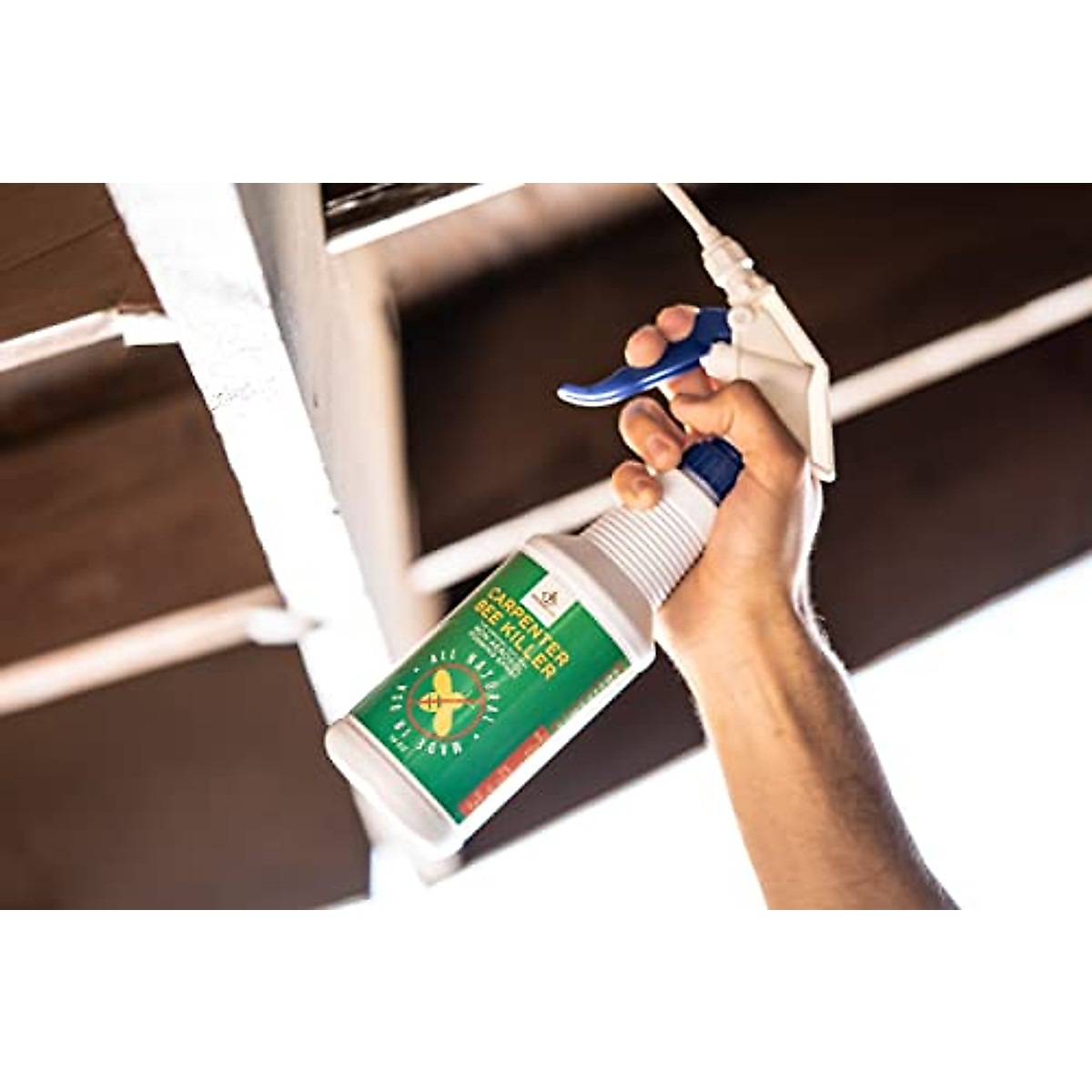 Donaldson Farms Carpenter Bee Killer Spray for Insects All Natural ...