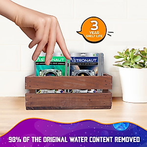 Astronaut Foods Freeze-Dried Ice Cream Sandwich, NASA Space Ice Cream, Variety Pack with Mint Chocolate Chip and Cookies and Cream, Nostalgia, Wafers, 6 Count