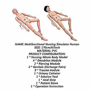 WFZY Training Manikin Model Mannequin Patient Education Teaching Model 170 cm PVC Anatomical Mannequin, Body Care Simulator Model for Nursing Medical Training Teaching