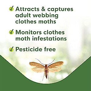 Willert Enoz BioCare Moth Trap - Closet Moth Traps - Pack of 4 (8 Traps Total) with Pheromone Lures - Effective Moth Traps for House, Safely Attracts and Kills Clothes Moths