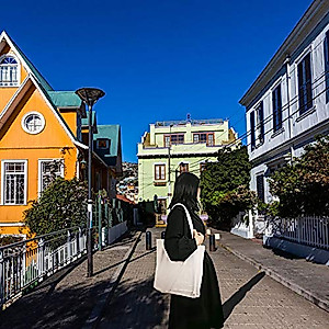 Segarty 6 Packs Canvas Tote Bag with Zipper, 16x15 inch Bags with Handle Reusable Washable Grocery Shopping Bags Plain Bags for Women Teacher Kids DIY Art Crafts Painting Embroidery Decoration