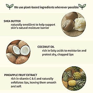 Hempz Sweet Pineapple & Honey Melon Herbal Lip Balm, .25 oz