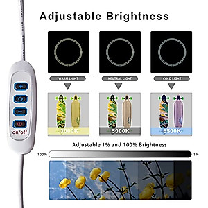 ZKEEZM Light Box Photography 12"x12" with 3000-6500K Bi-Color 120LED Lights and 6 Color Backdrops Photo Box with Lights Foldable Light Box with Adjustable Brightness Dimmable Picture Box Shooting