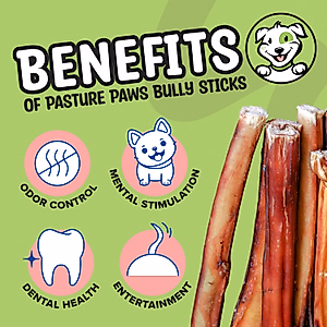 Pasture Paws Bully Sticks for Dogs | Long-Lasting All Natural Dog Chew Sticks | Fully Digestible Low Odor Bully Sticks | Dental Health Support Dog Treats Sticks | 6-inch | 5 Count Pack