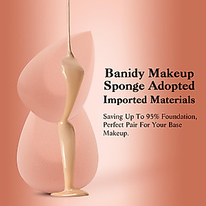 Makeup Sponge Set Blender, Beauty Sponge with Holder Makeup Blender Flawless for Foundation, Liquid,Facial Makeup Tools Beauty Gift Set