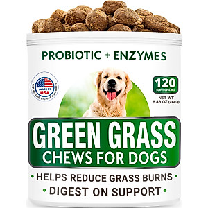 All-Natural Grass Treatment for Dog Urine Bundle - Grass Restore Treats for Dogs - Pee Lawn Repair Chews w Probiotics - Dog Urine Neutralizer Solution for Grass Burn Spots - Made in USA