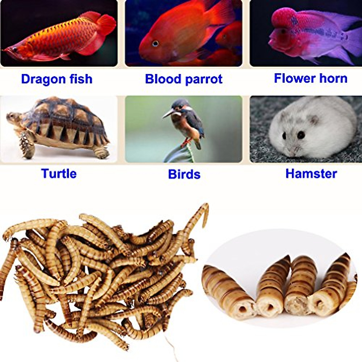 JackSuper Fresh Dried Mealworms Bulk High-Protein Mealworms Treats for Reptile, Bird, Chicken, Fish Food (280g)